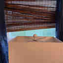Arlo Blinds Java Deep Sheer Bamboo Roman Shades & Reviews | Wayfair