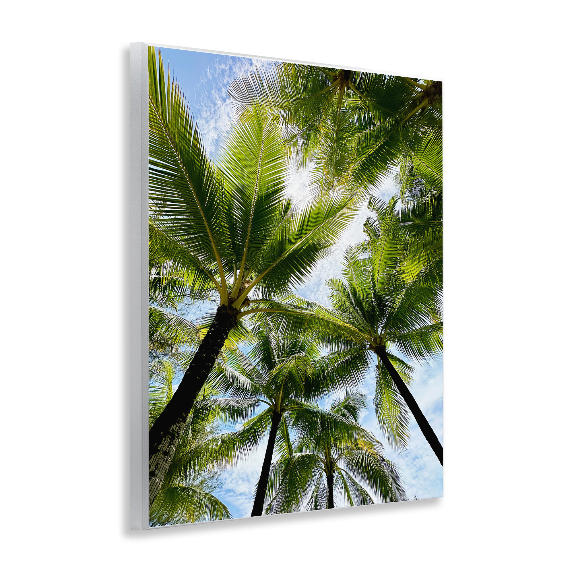 Ebern Designs Overhead Palm Trees Wall Plaque Art by Kali Wilson ...
