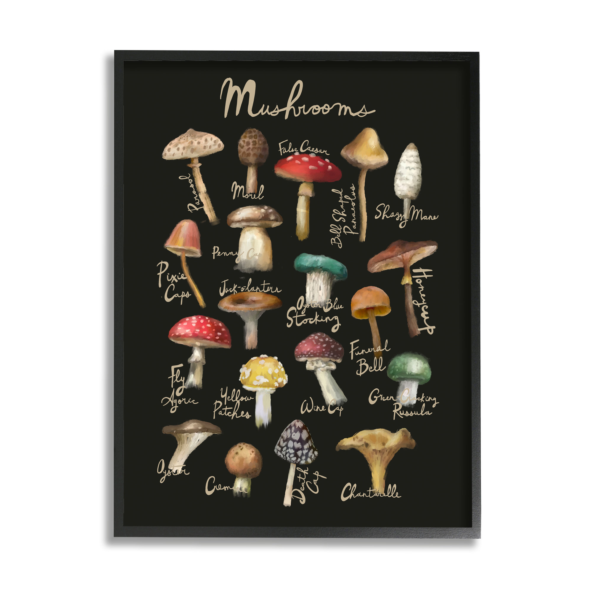 Stupell Industries Varied Mushrooms Kitchen Chart Framed Giclee Art By ...