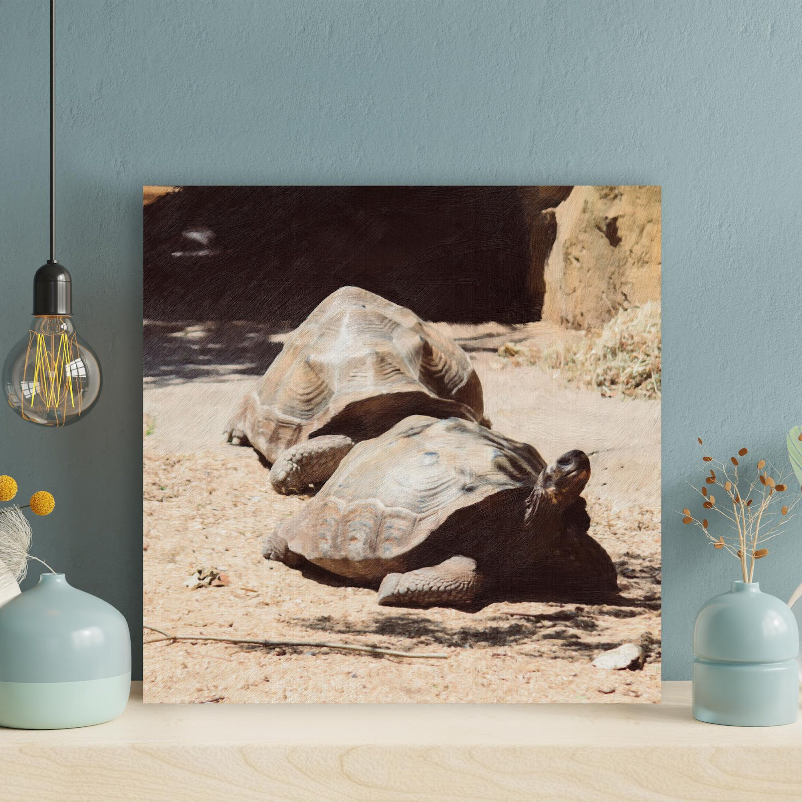 Bayou Breeze " Two Tortoises With Tough Shells Under Sunlight - 1 Piece ...