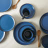 Stone Lain Albie Stoneware 16 Piece Dinnerware Set, Service for 4, Blue ...