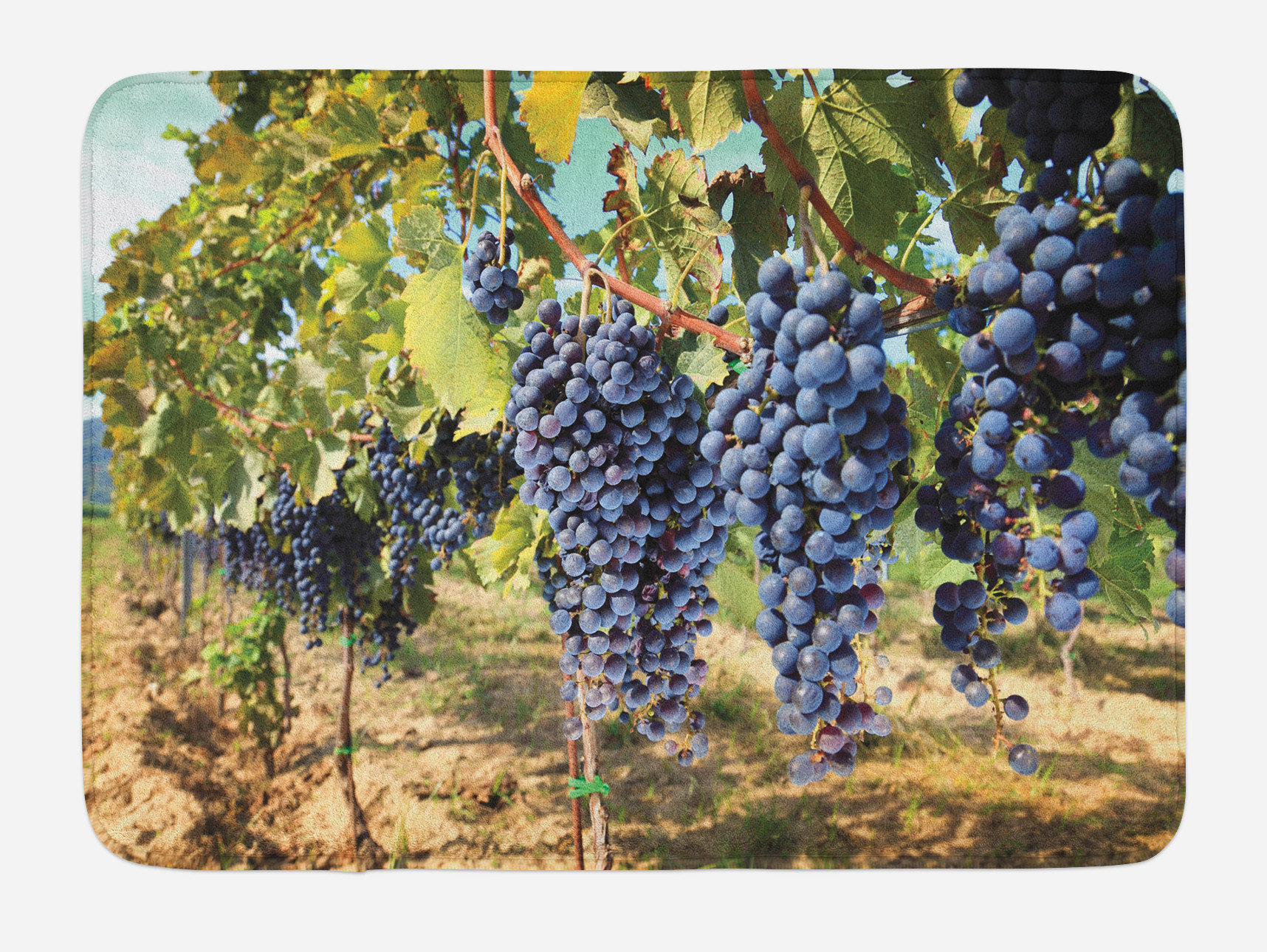 East Urban Home Grape Plush Bath Mat, Rows of Wine Fruits in Italy, 30. ...