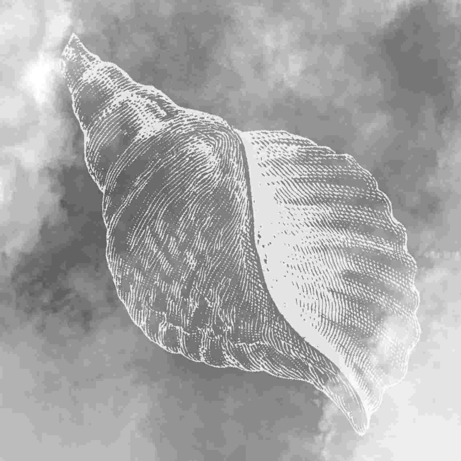 Highland Dunes Gray Shell 2 | Wayfair