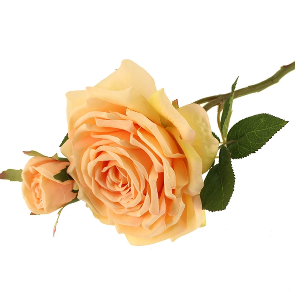 The Seasonal Aisle Rose Eden Pick Stem in Vase | Wayfair.ie