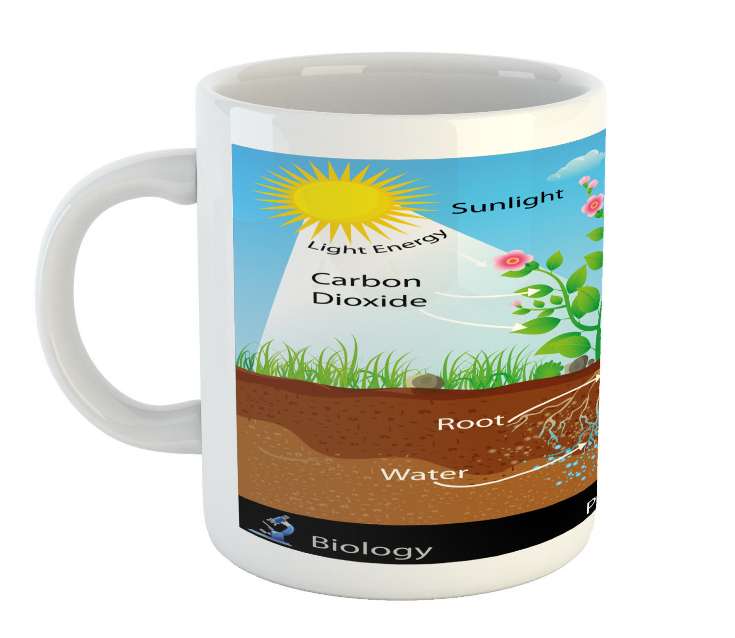 East Urban Home Educational Coffee Mug | Wayfair