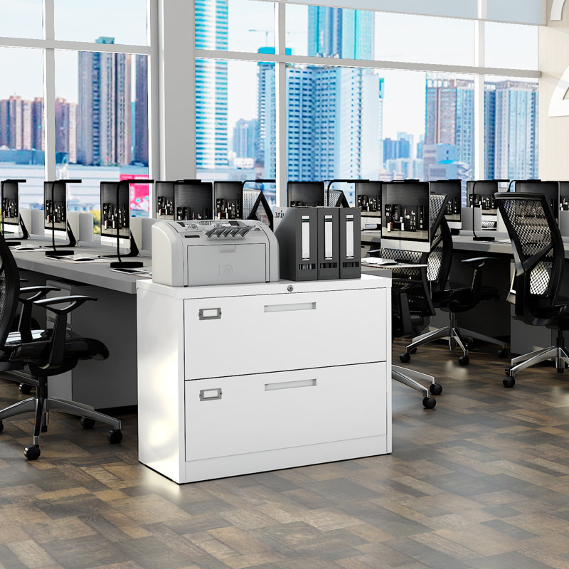 Latitude Run® 35.43'' Wide 2 -Drawer Steel File Cabinet & Reviews | Wayfair