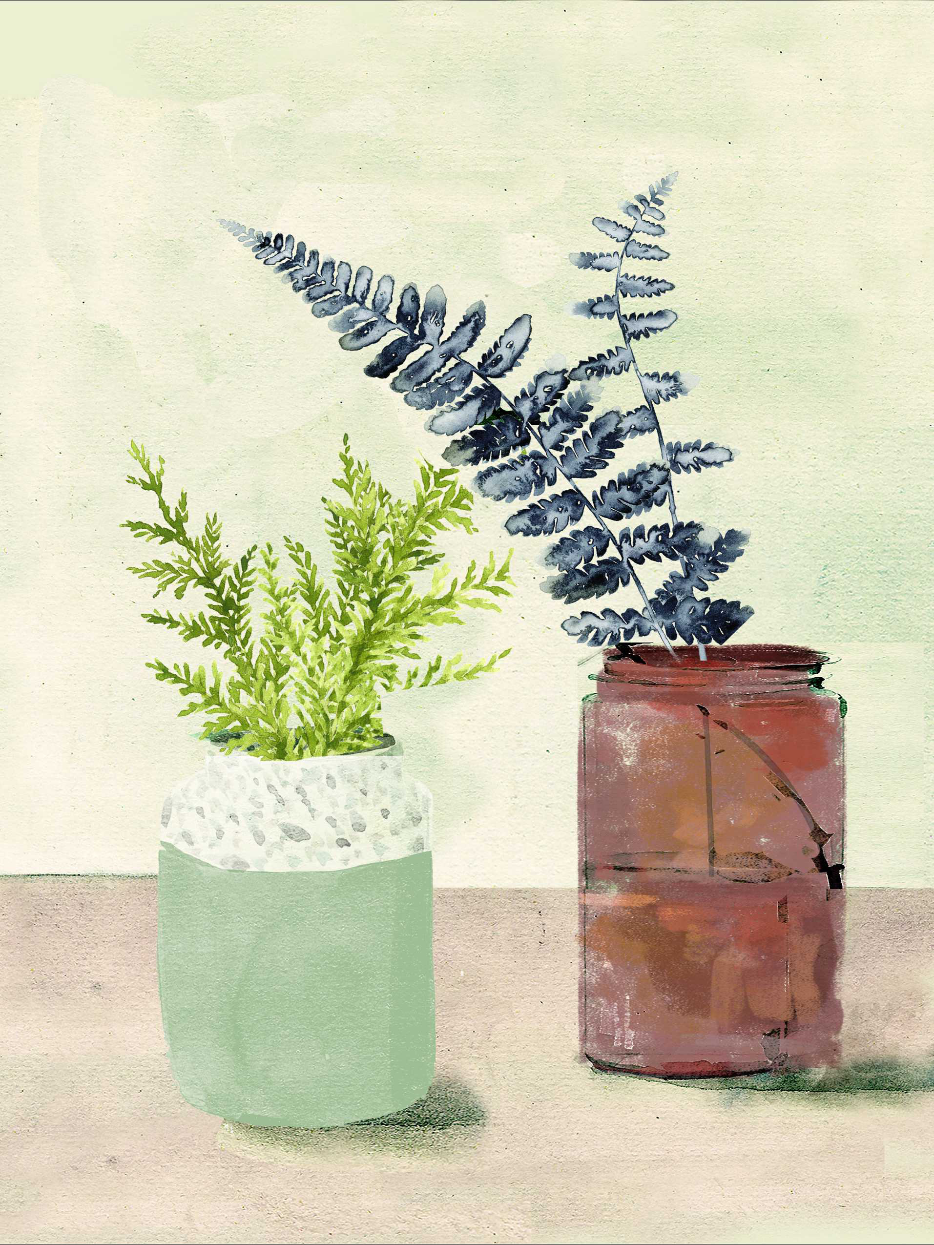 Winston Porter Fern Jar And Pot - Wayfair Canada