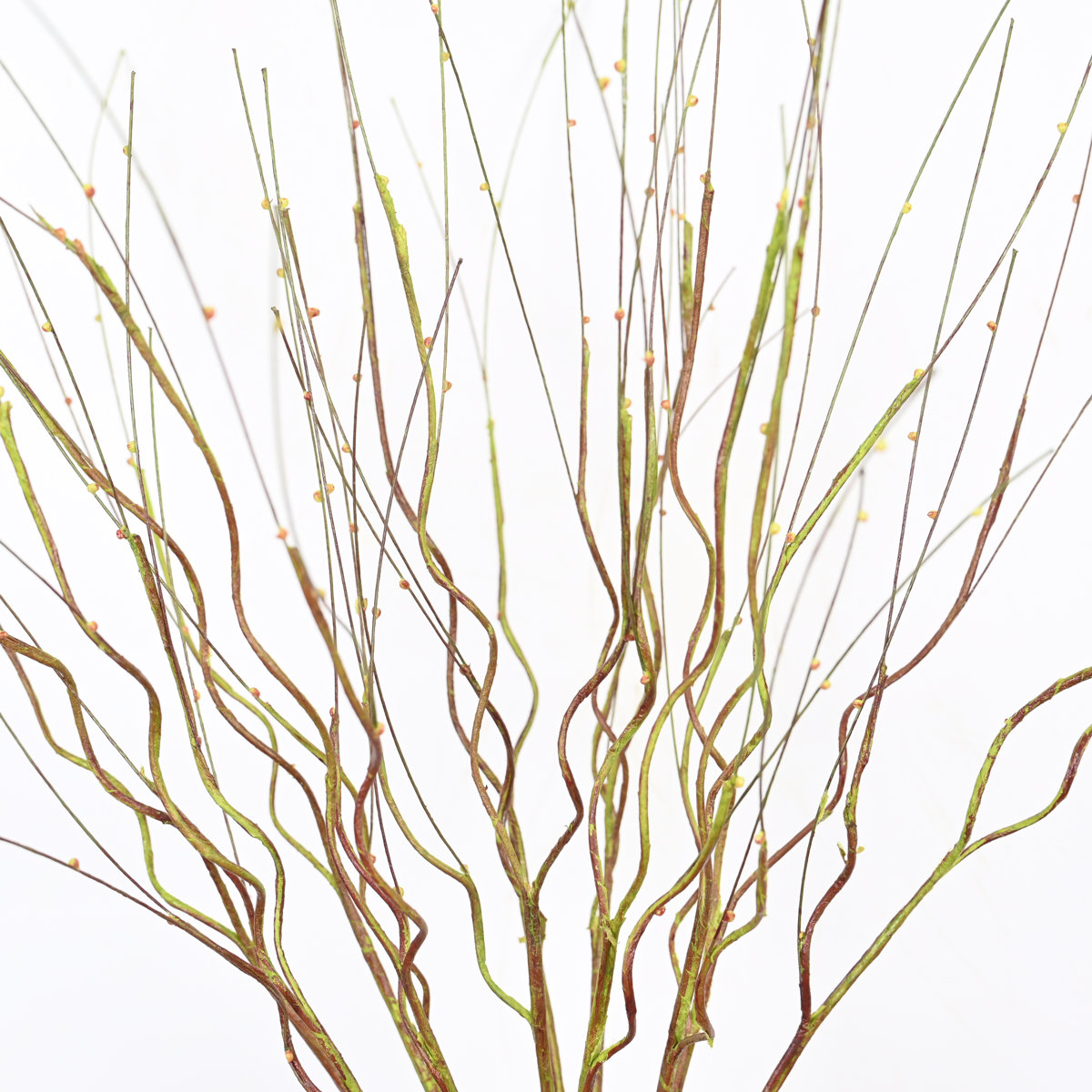 Ophelia & Co. Artificial Farmhouse Greenery Branch Long Stem Sprays For ...