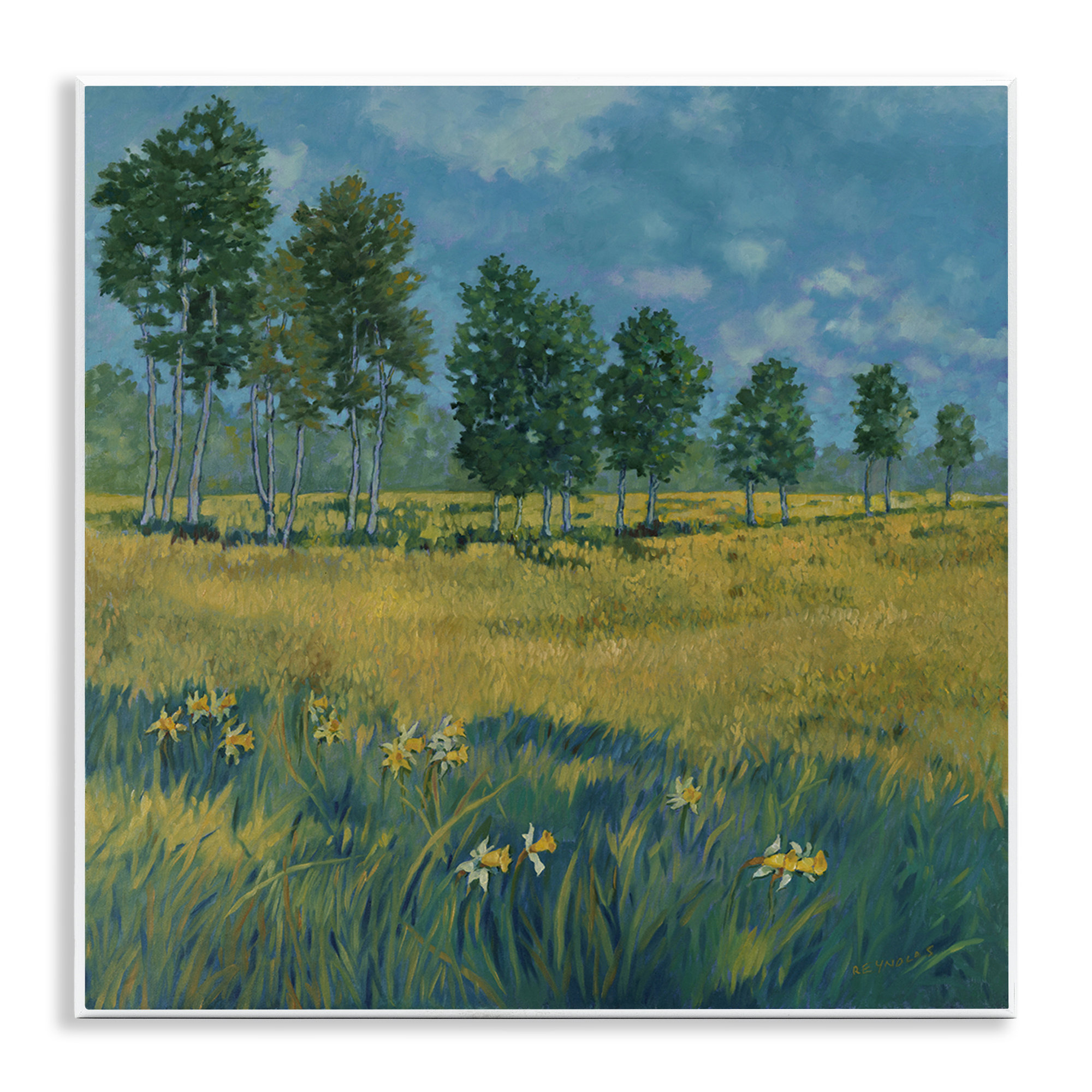 George Oliver Daffodil Field Landscape Wall Plaque Art by Graham ...