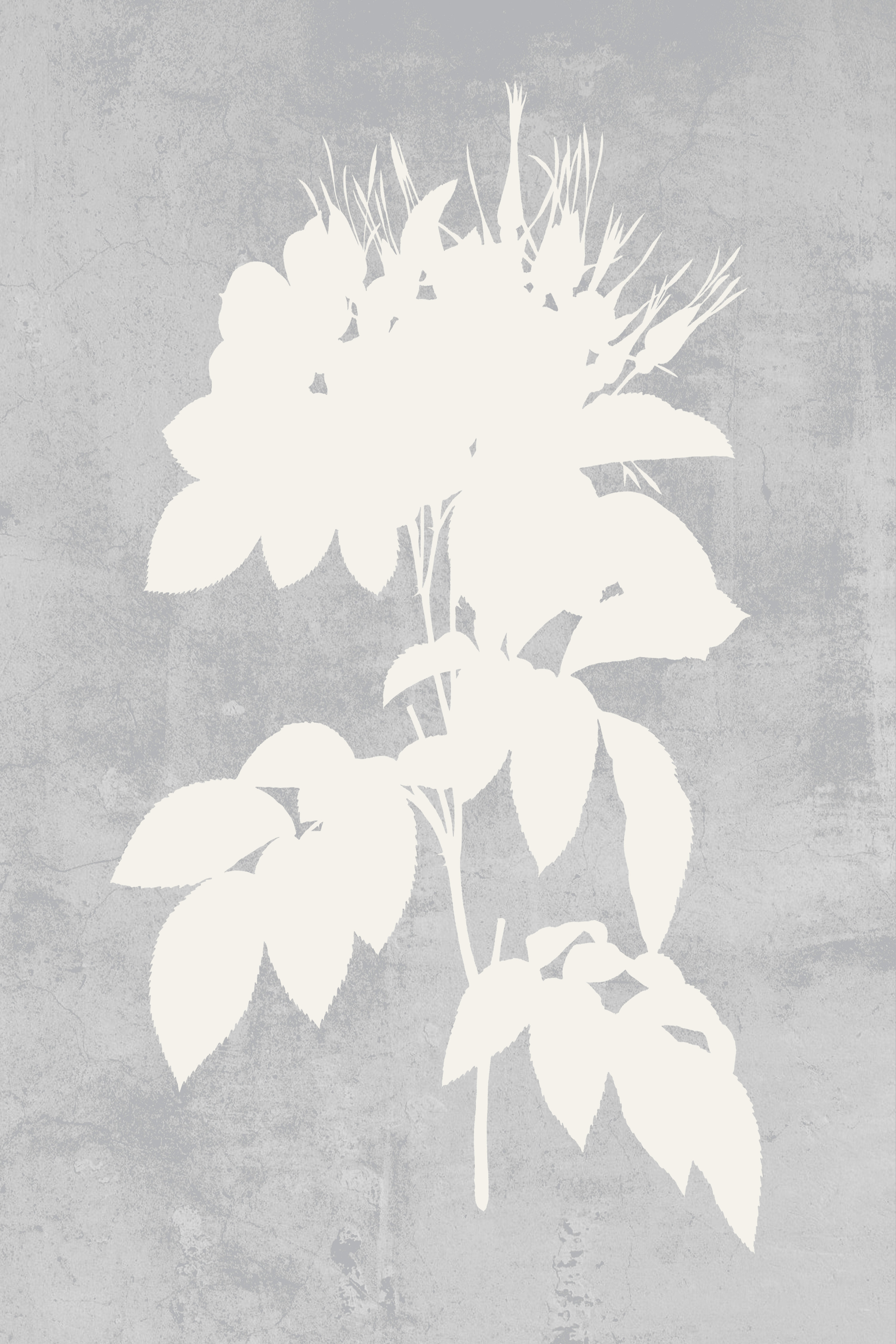 Winston Porter Falling Flowers I On Canvas by Melissa Wang Print | Wayfair