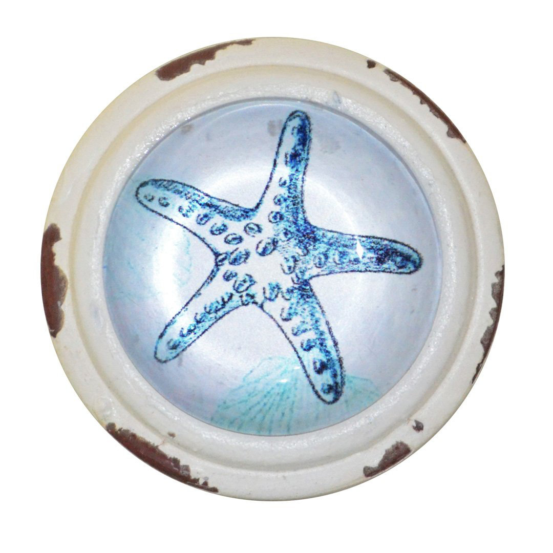 Charleston Knob Company SET OF 4 KNOBS Beach House Starfish Whitewashed ...