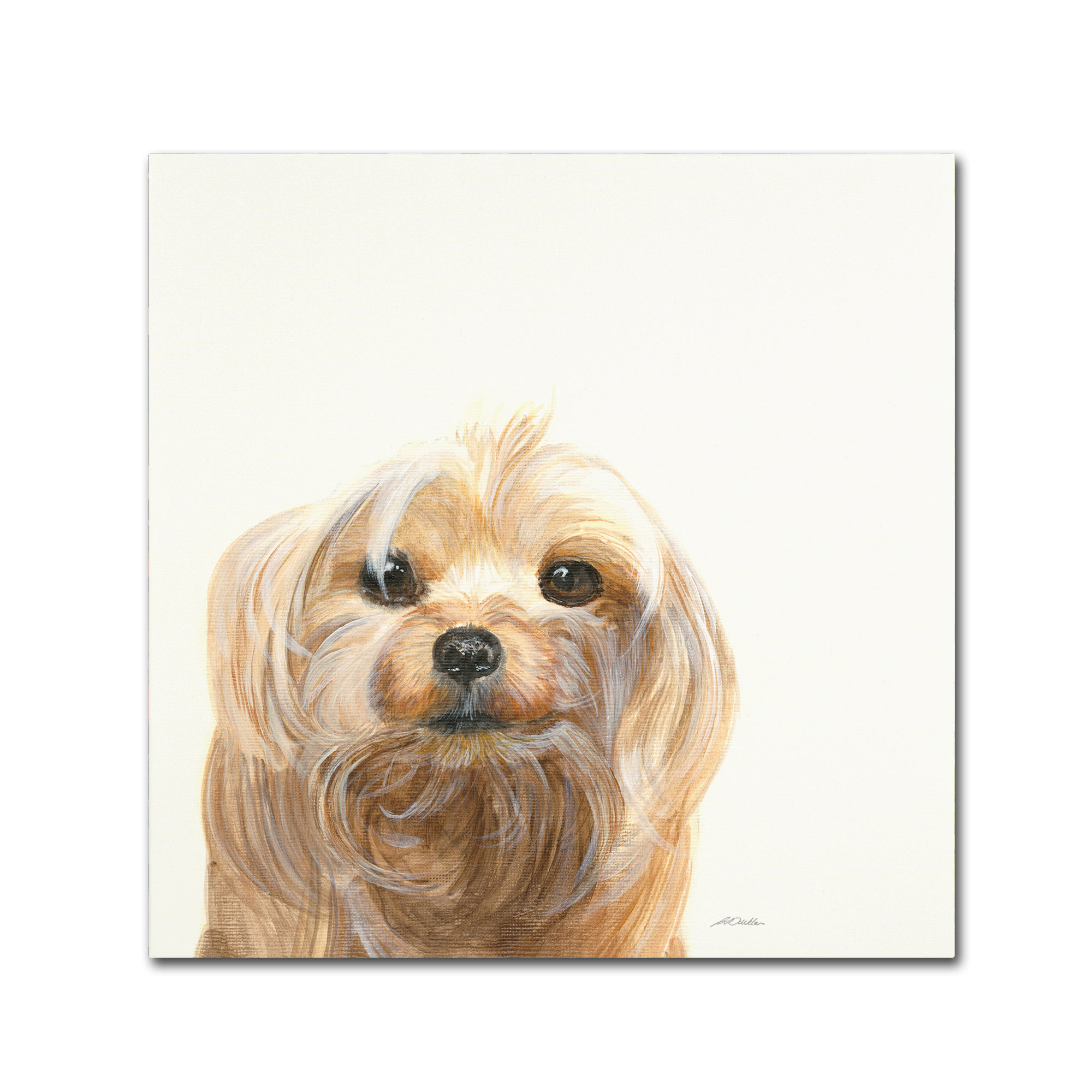 Trademark Fine Art 'Little Scruff Gizmo' Graphic Art Print on Wrapped ...