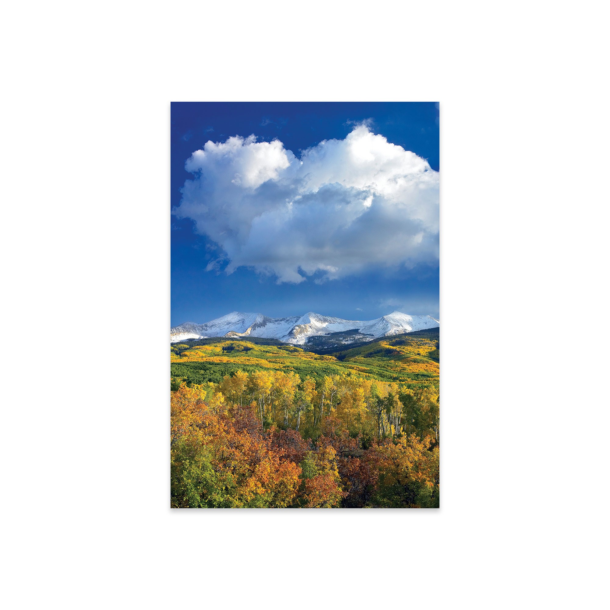 Millwood Pines East Beckwith Mountain Flanked By Fall Colored Aspen ...