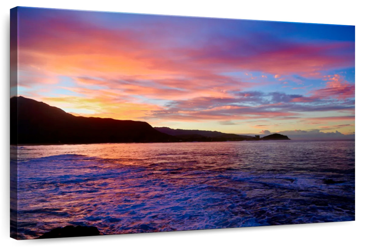 Elephant Stock Good Morning Hawaii | Wayfair