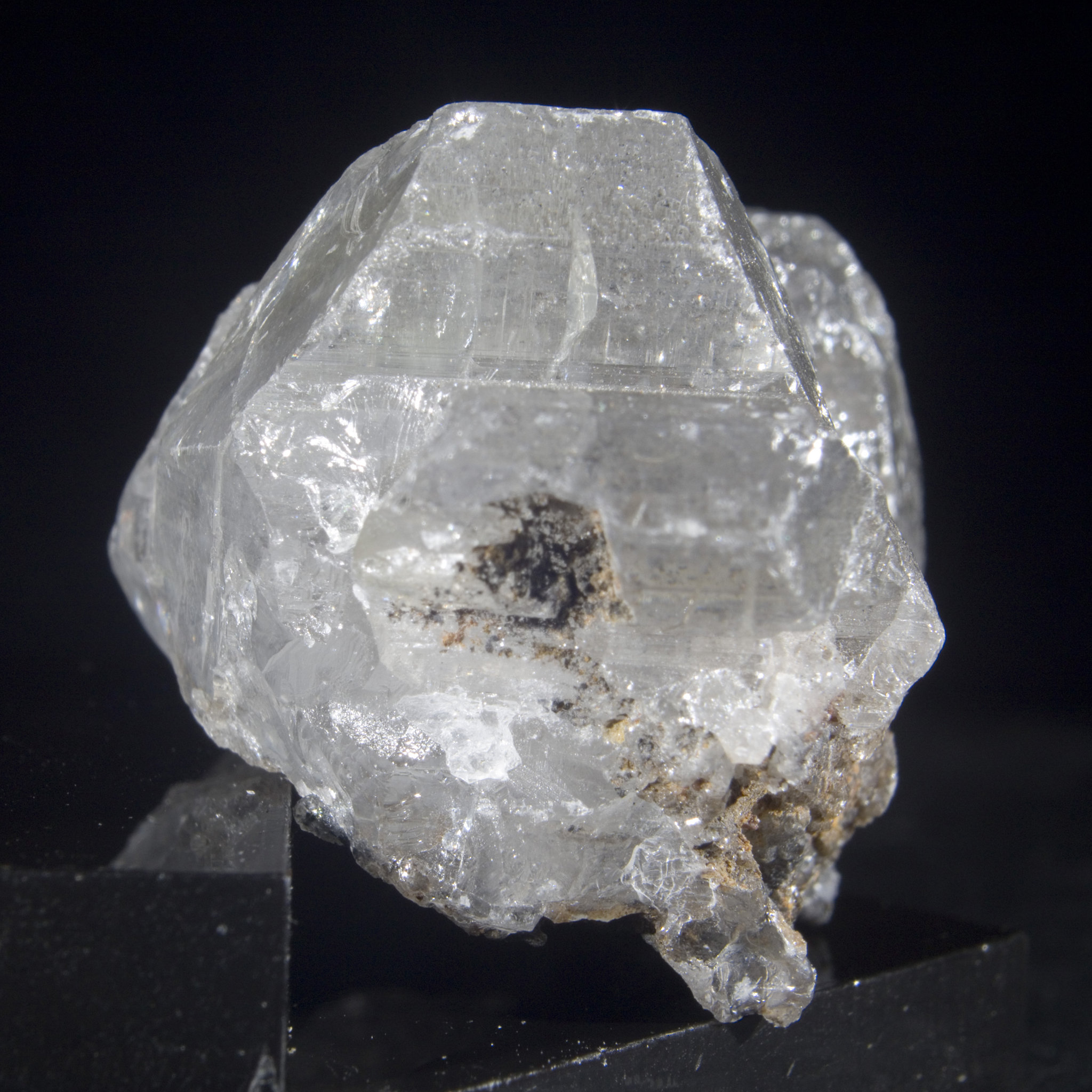 Everly Quinn Aleston Crystal | Wayfair