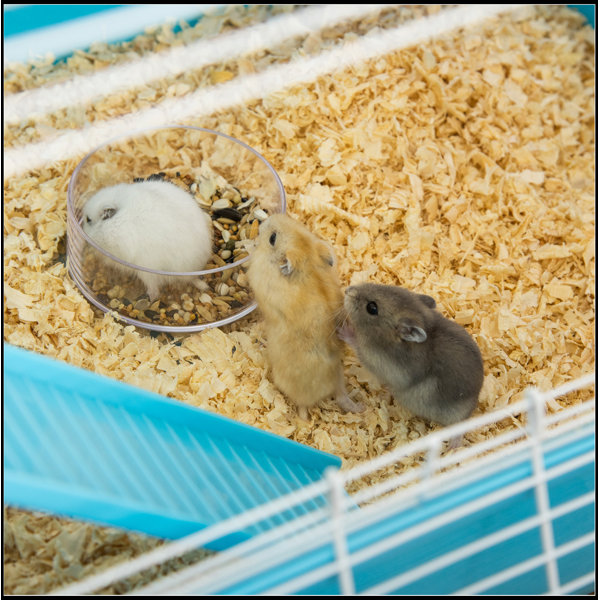 KUNMINGZHUHE Extra Large 23" Hamster Cage With Tubes And Tunnels ...