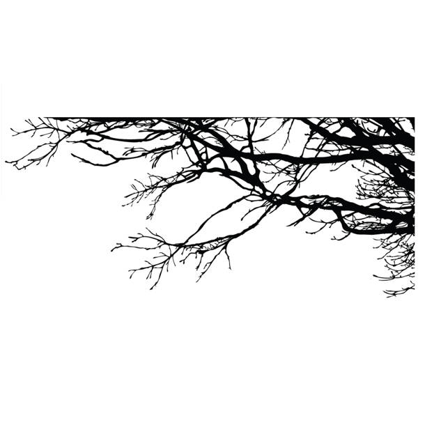 Loon Peak® Bare Tree Branches Wall Decal & Reviews | Wayfair