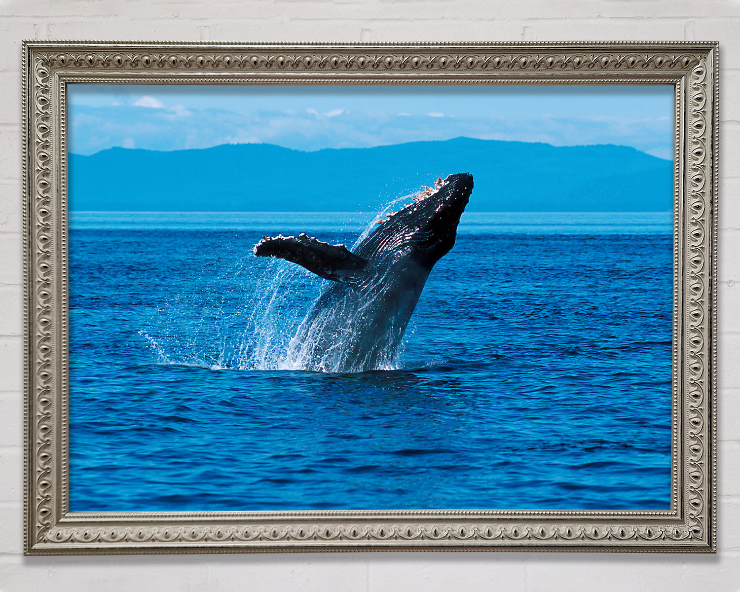 House of Hampton Whale Ocean Jump Framed Print | Wayfair.co.uk
