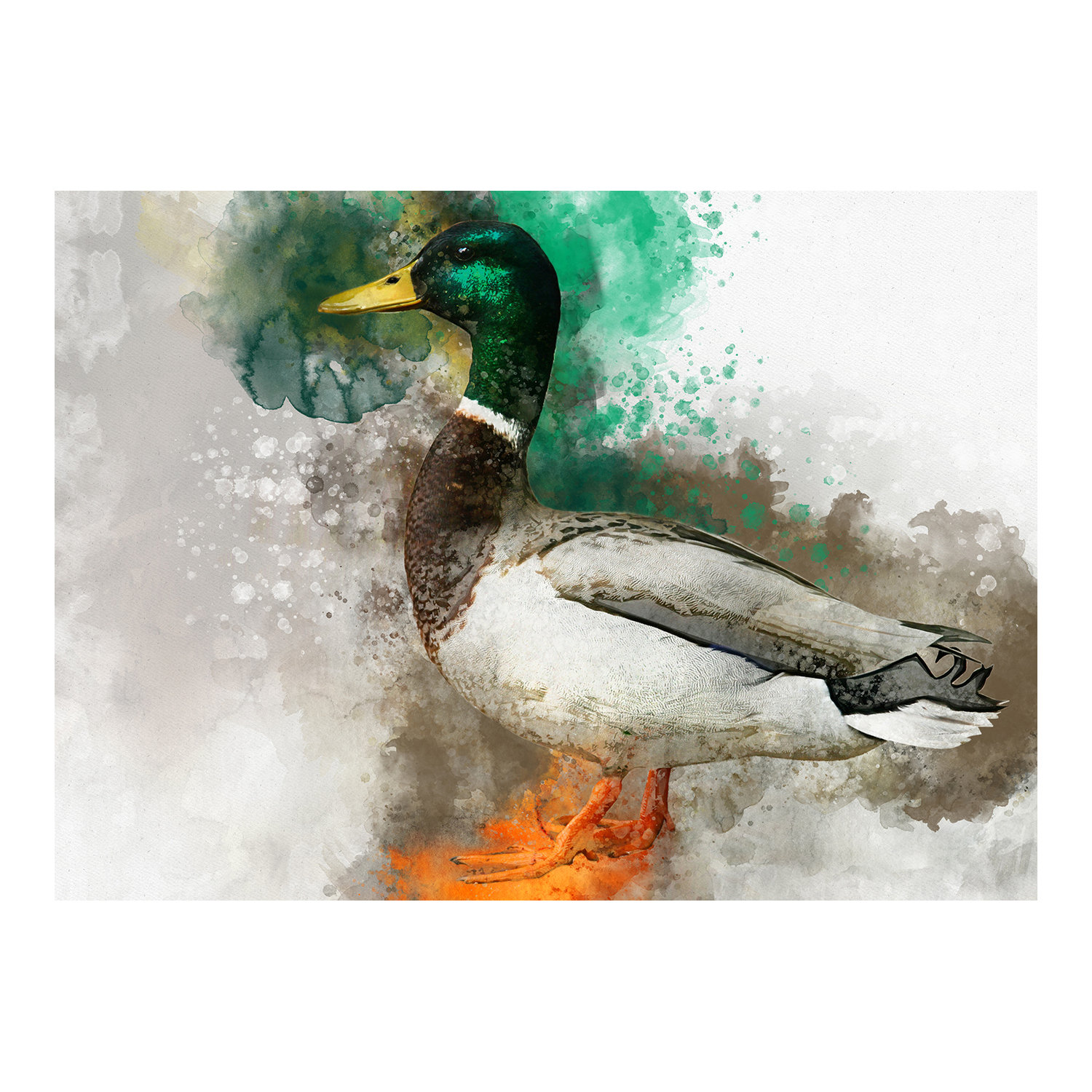 Union Rustic Emerald Splash Mallard Canvas Wall Art - 20" x 16" | Wayfair