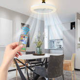 Bell + Howell Socket Fan, Ceiling Fan With 1000 Lumens Warm Light ...