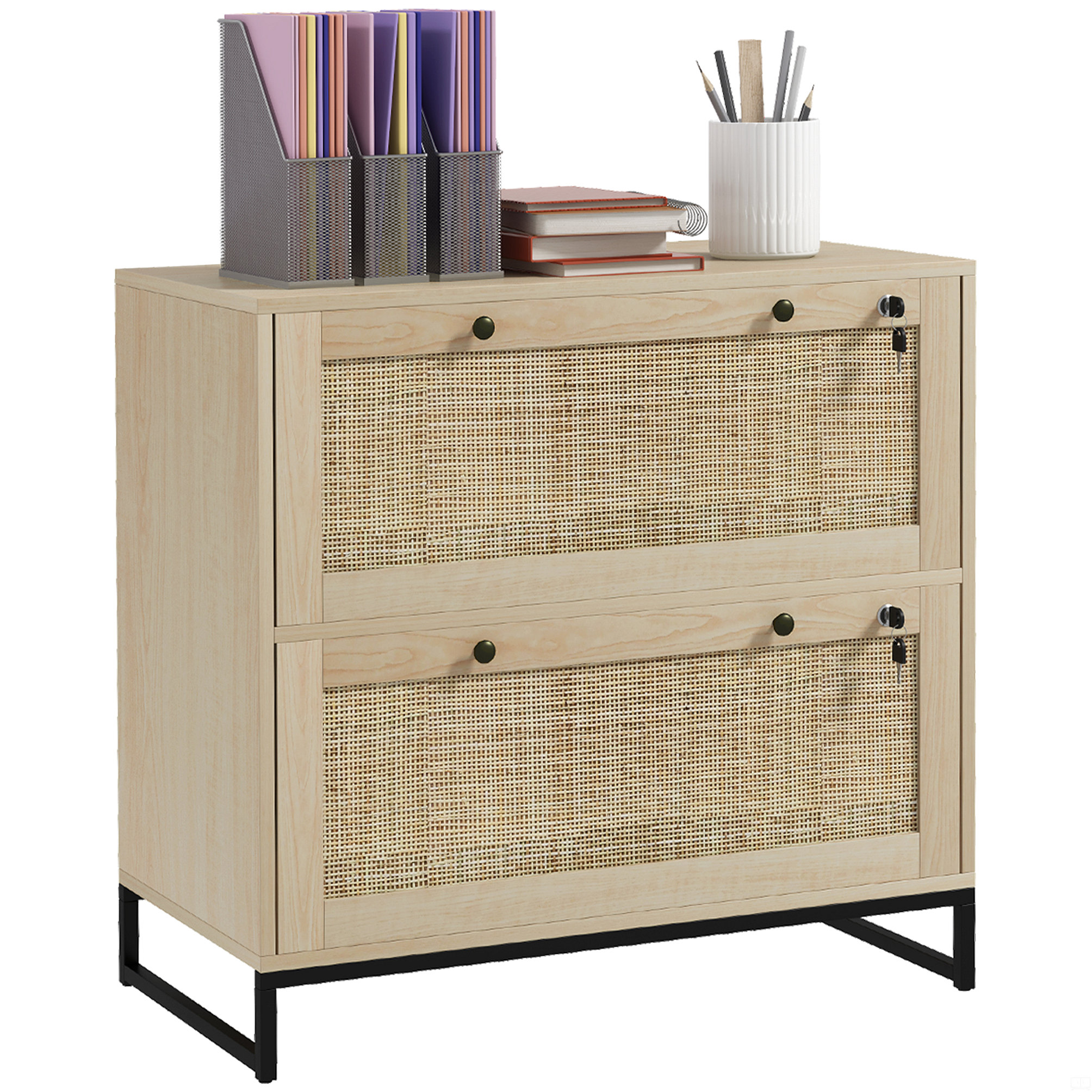 Ivy Bronx 2 Drawer File Cabinet With Lock, Vertical Filing Cabinet With ...