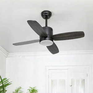 Latitude Run® Breandrea 38" Ceiling Fan with LED Lights & Reviews ...