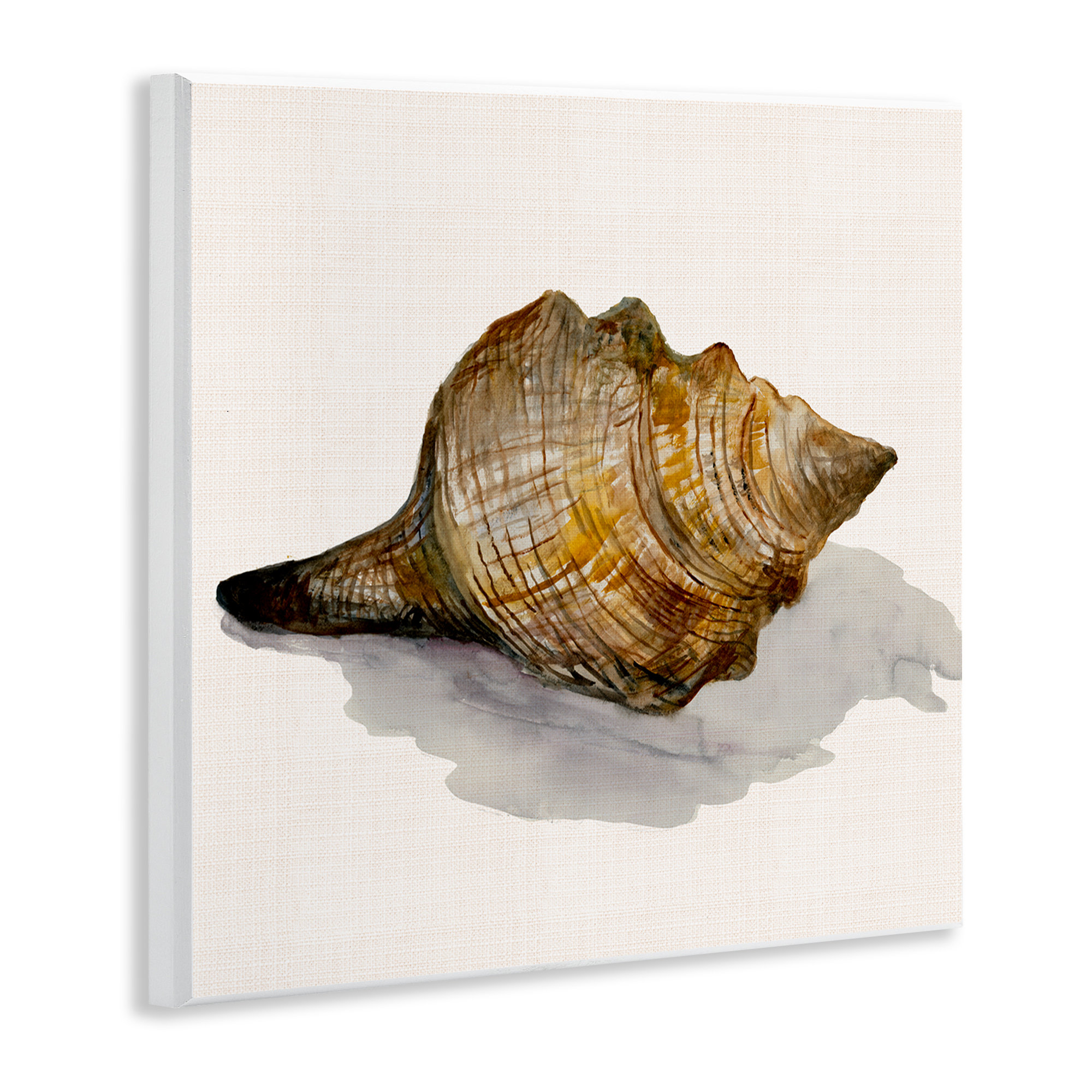 Ebern Designs Conch Shell on Beige Wall Plaque Art by Jacob Q | Wayfair