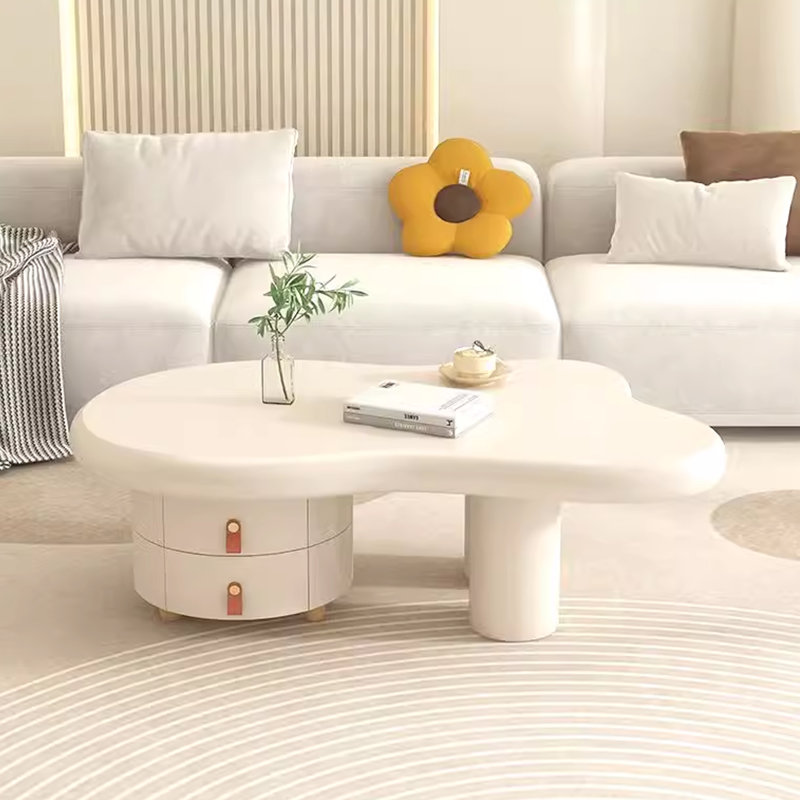Hokku Designs Rhuaran Modern White Abstract Coffee Table with Storage ...