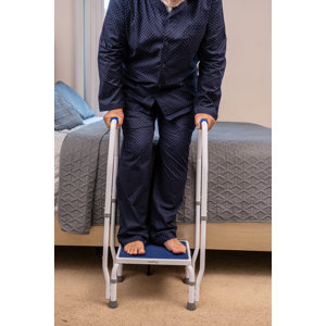 Step2bed Mini Bedside Safety Step & Reviews | Wayfair