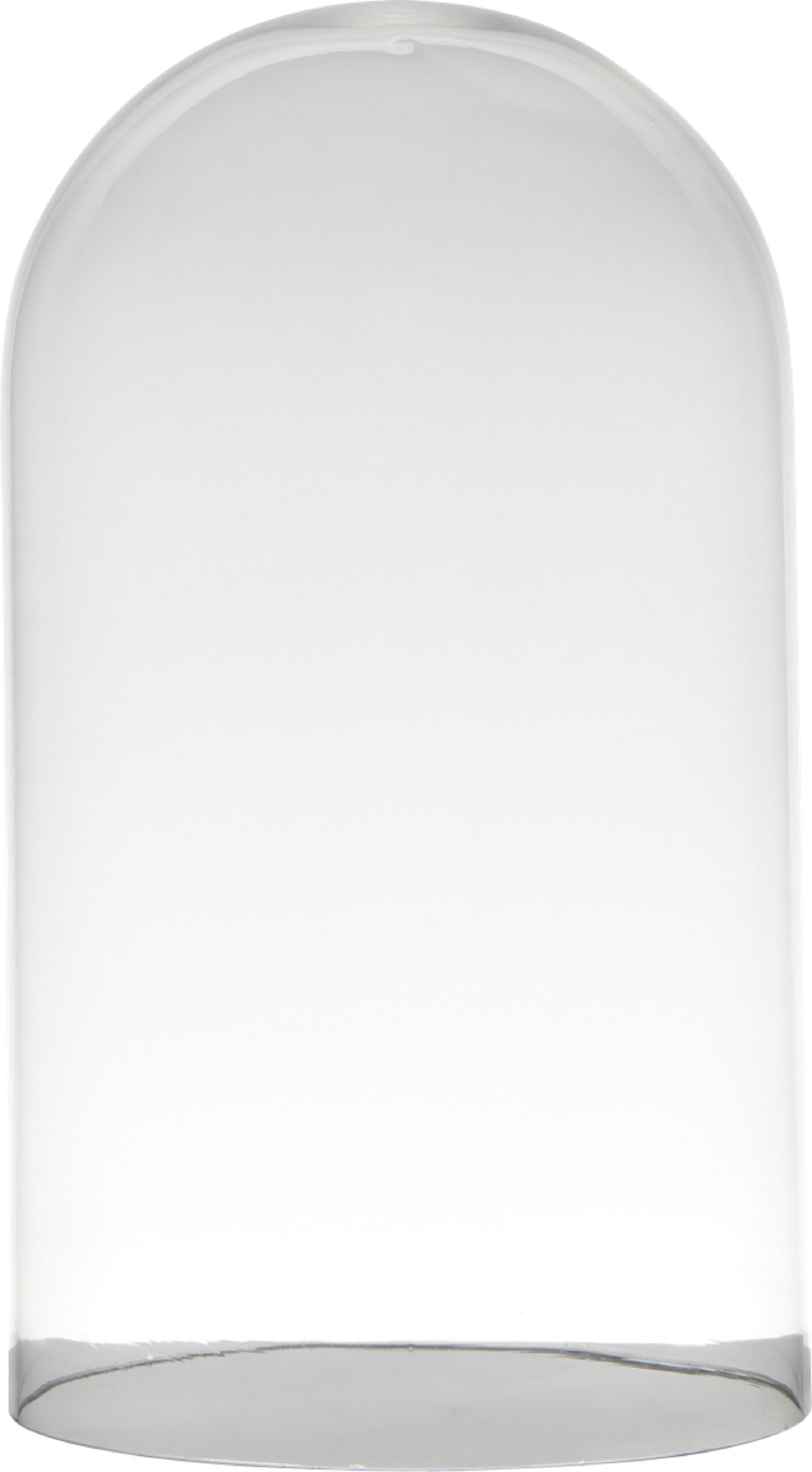 AllModern Hugo Bell Jar Clear Glass | Joss & Main