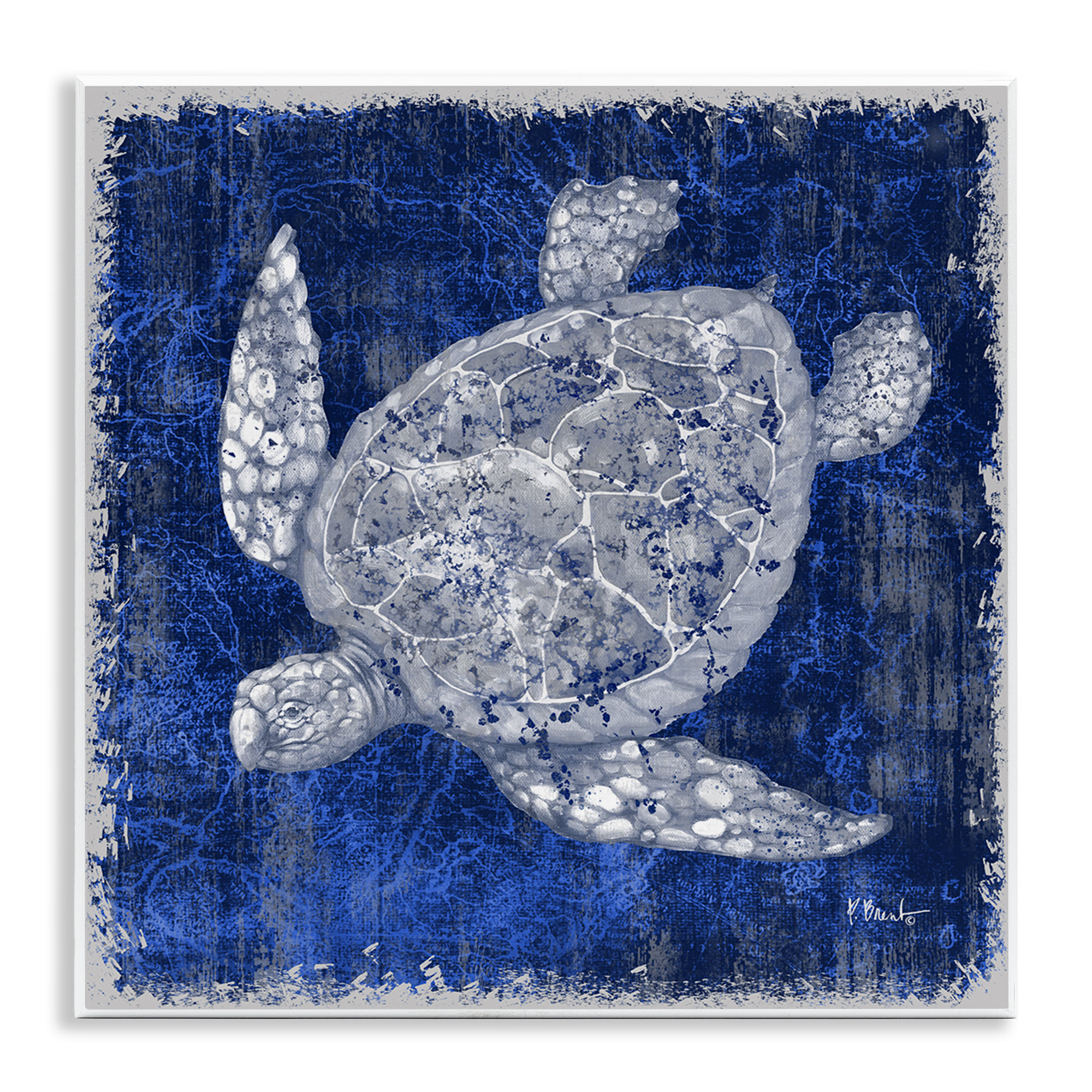 Breakwater Bay Rustic Indigo Turtle Wall Plaque Art by Paul Brent | Wayfair