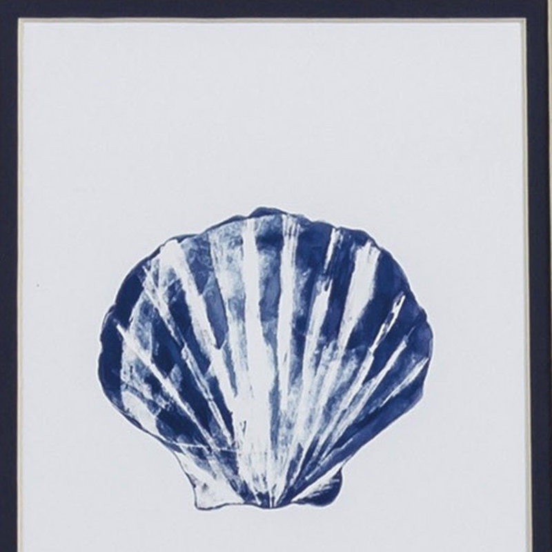 Dovecove (Set Of ) Two Blue And White Seashell Wall Art | Wayfair