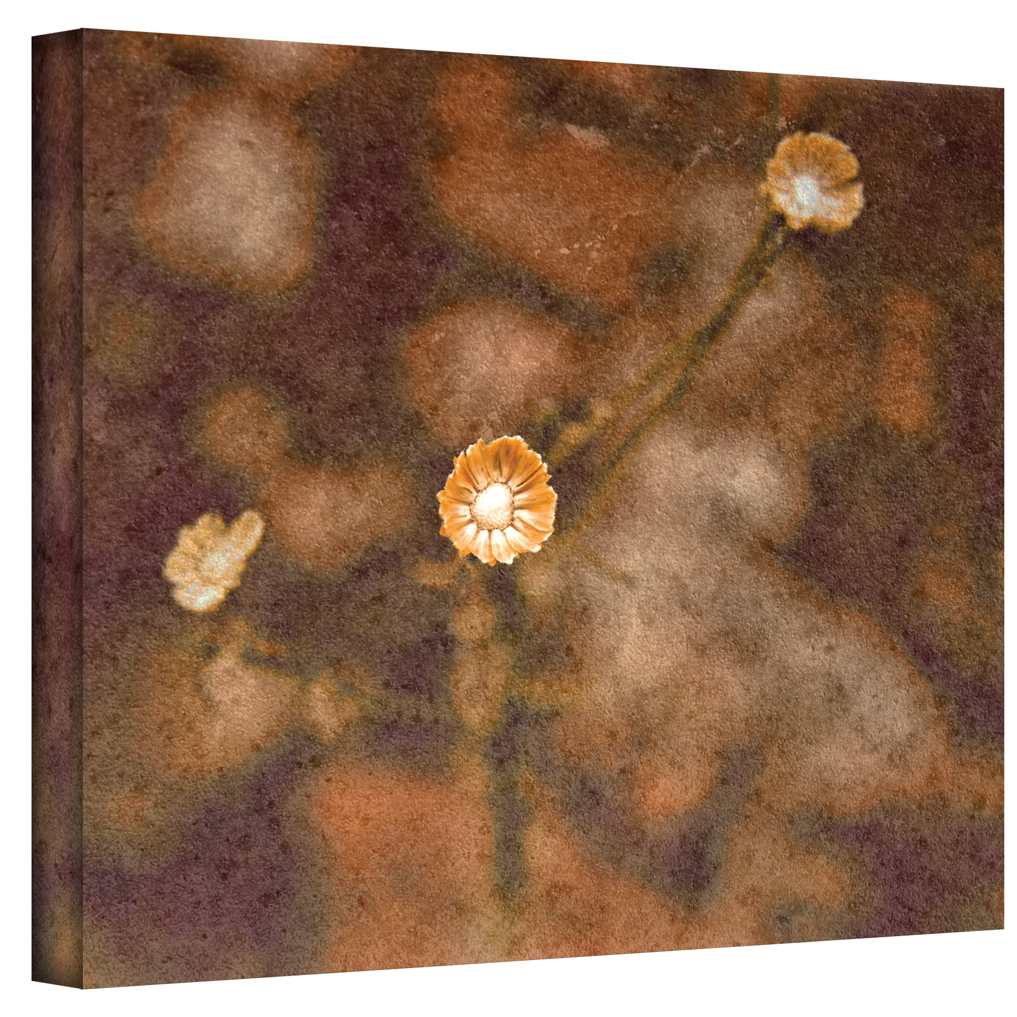 ArtWall ''Centre of Attention'' by Mark Ross Painting Print on Canvas ...