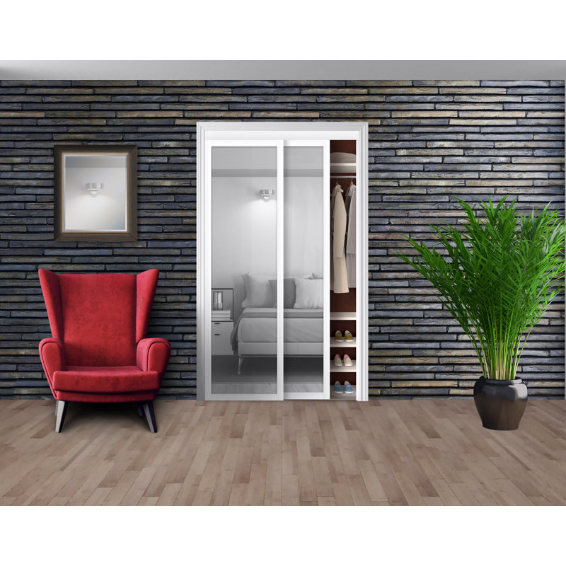 Renin Harmony 1-Lite Mirrored Sliding Closet Door & Reviews | Wayfair