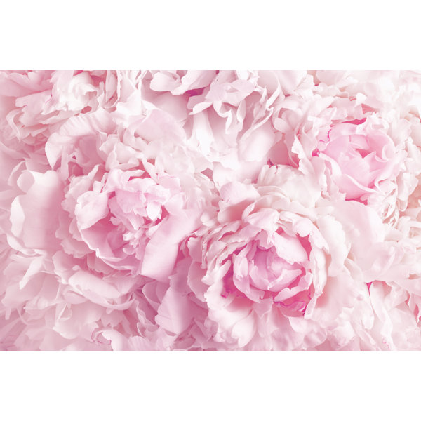 Fairmont Park Leando Beautiful Floral Background - Wrapped Canvas Print ...