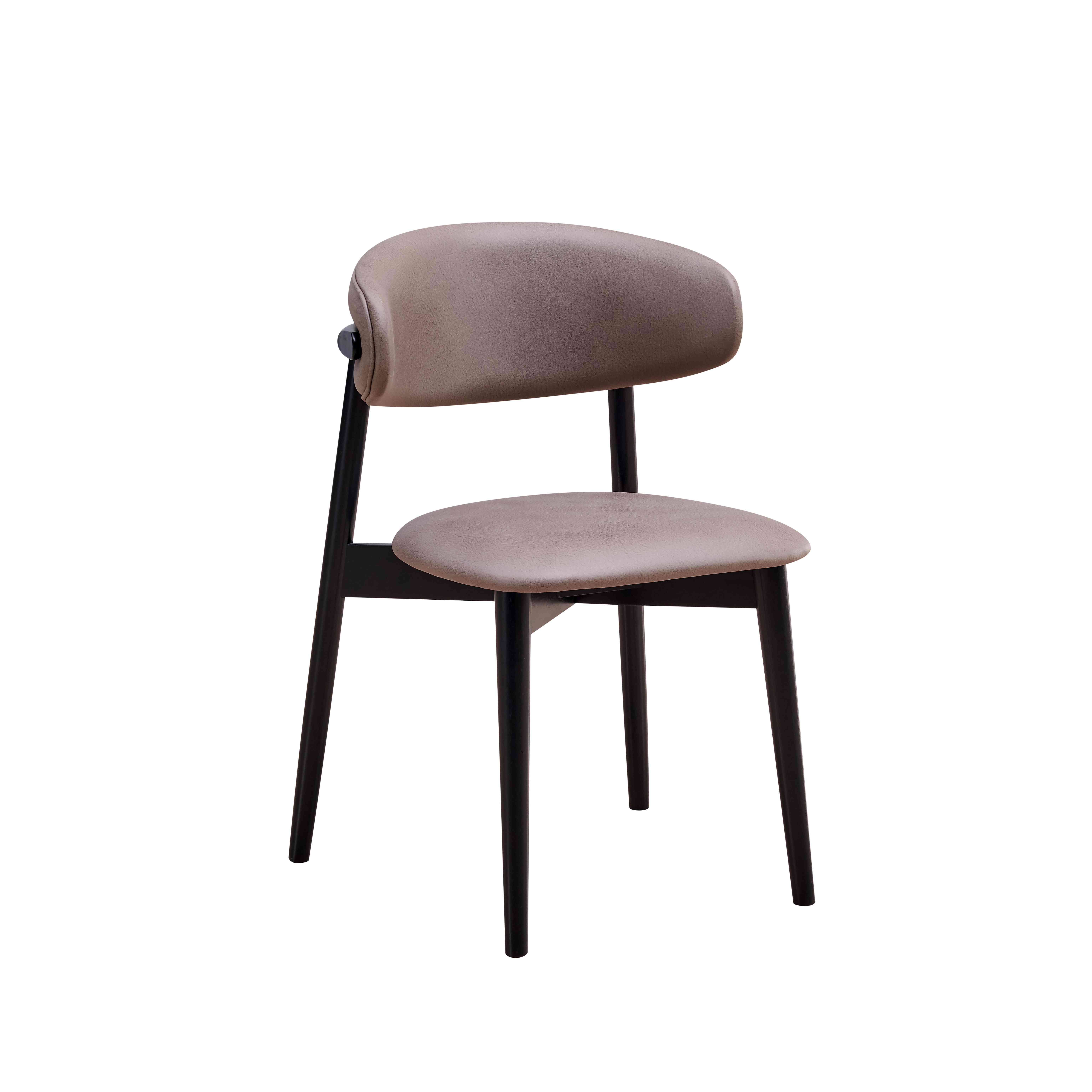 Red Barrel Studio® Lanae Polished Microfiber Side Chair (Set of 2 ...