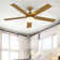 Ebern Designs 52" Gold Ceiling Fan 5 Blade Modern Large Reversible ...
