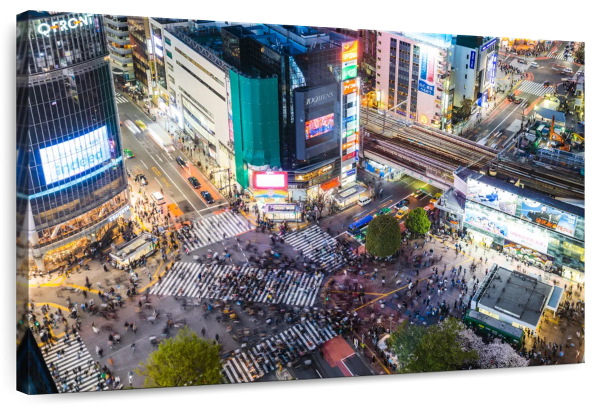 Ebern Designs Sireci Shibuya In Tokyo | Wayfair