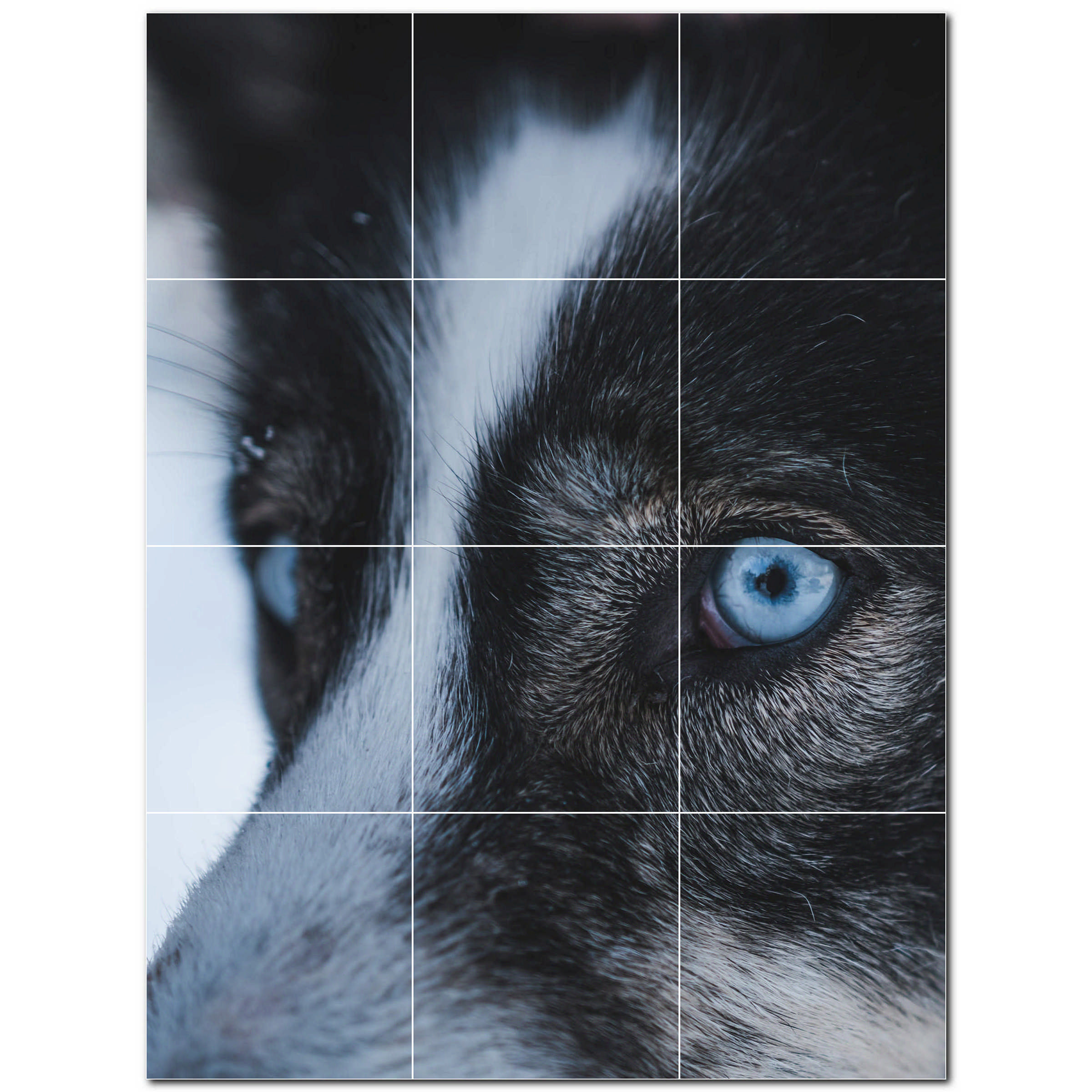 Picture-Tiles.com 36" x 48" Ceramic Wolf Photo Decorative Mural Tile ...