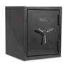 Sanctuary Platinum Fireproof and Waterproof Security Safe with ...