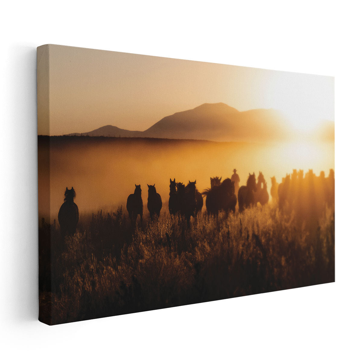 Lark Manor Coming in Hot - Canvas Print Wall Art - Wayfair Canada