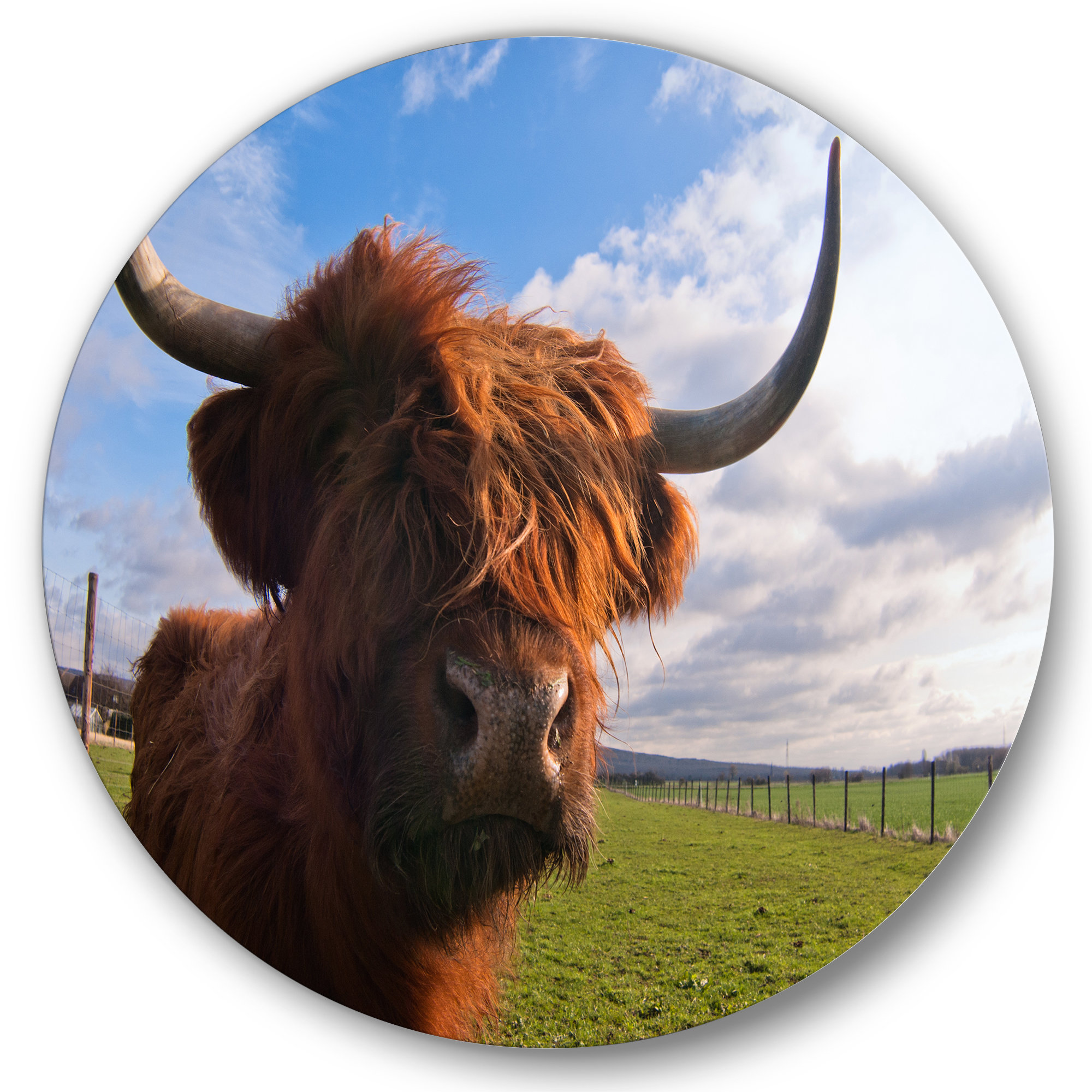 East Urban Home Portrait Of A Yak - Farmhouse Metal Circle Wall Art ...