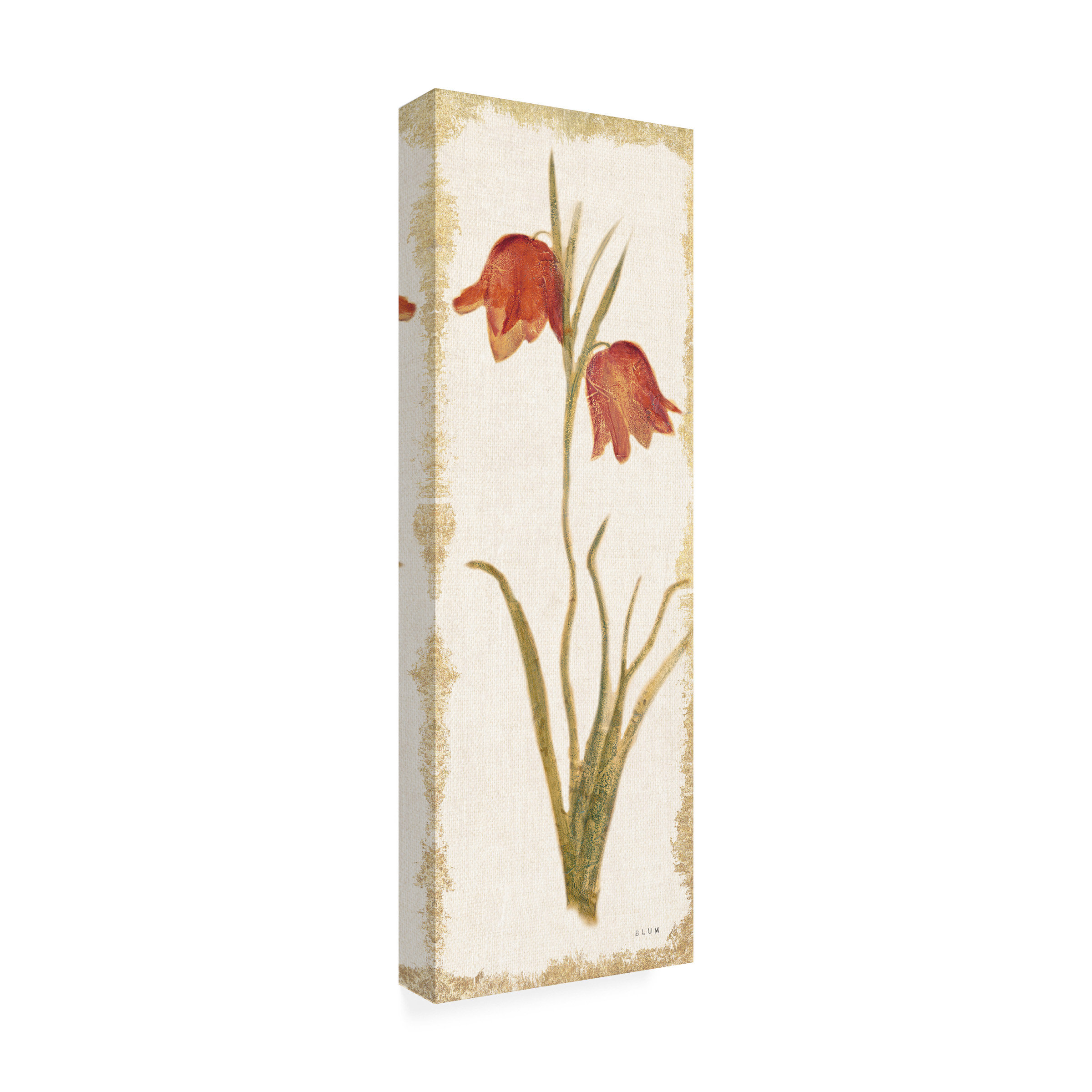 Rosalind Wheeler Cheri Blum ''Red Tulip Panel Light'' Canvas Art | Wayfair