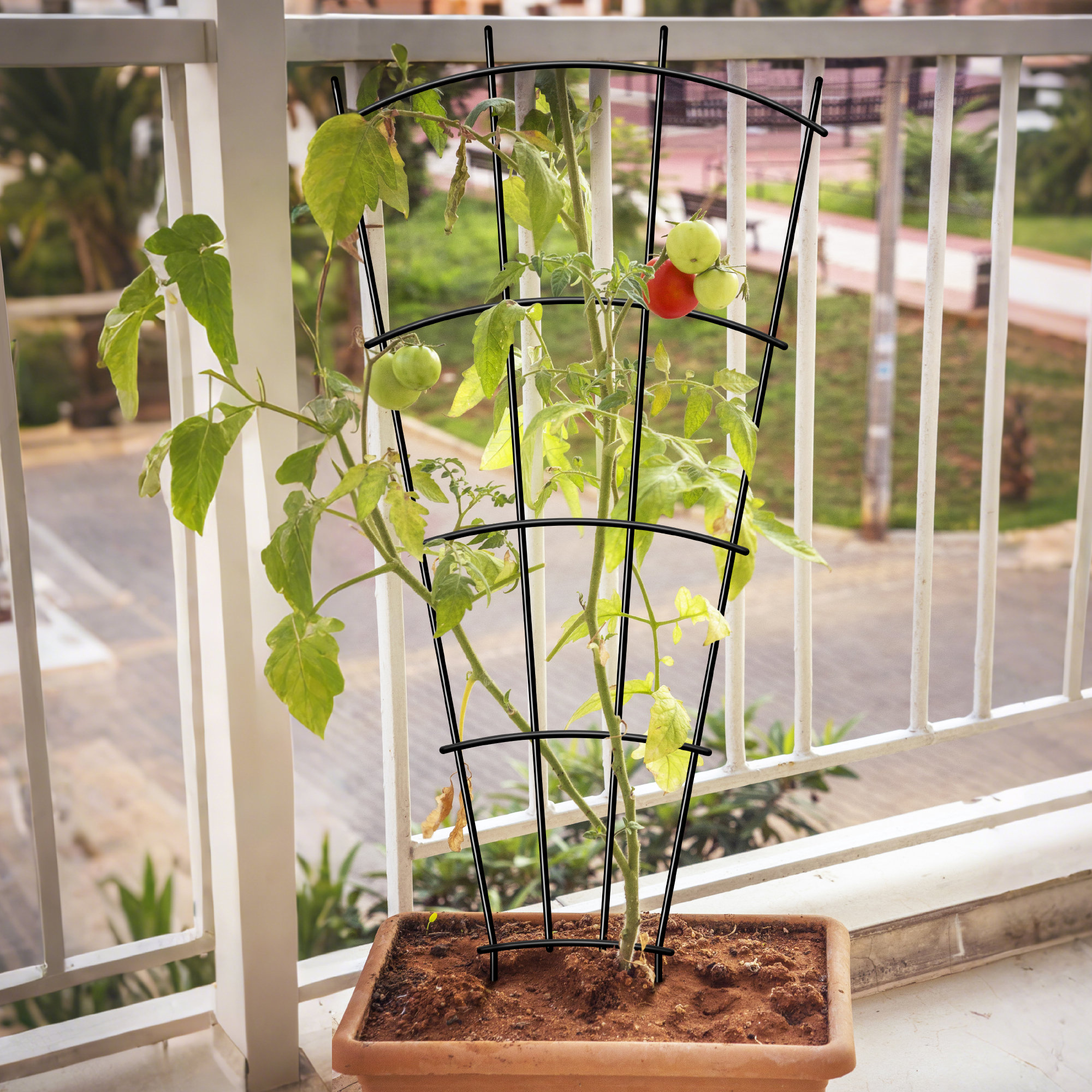 Ebern Designs 32'' Plant Trellis Fan Shaped Plant Climbing | Wayfair