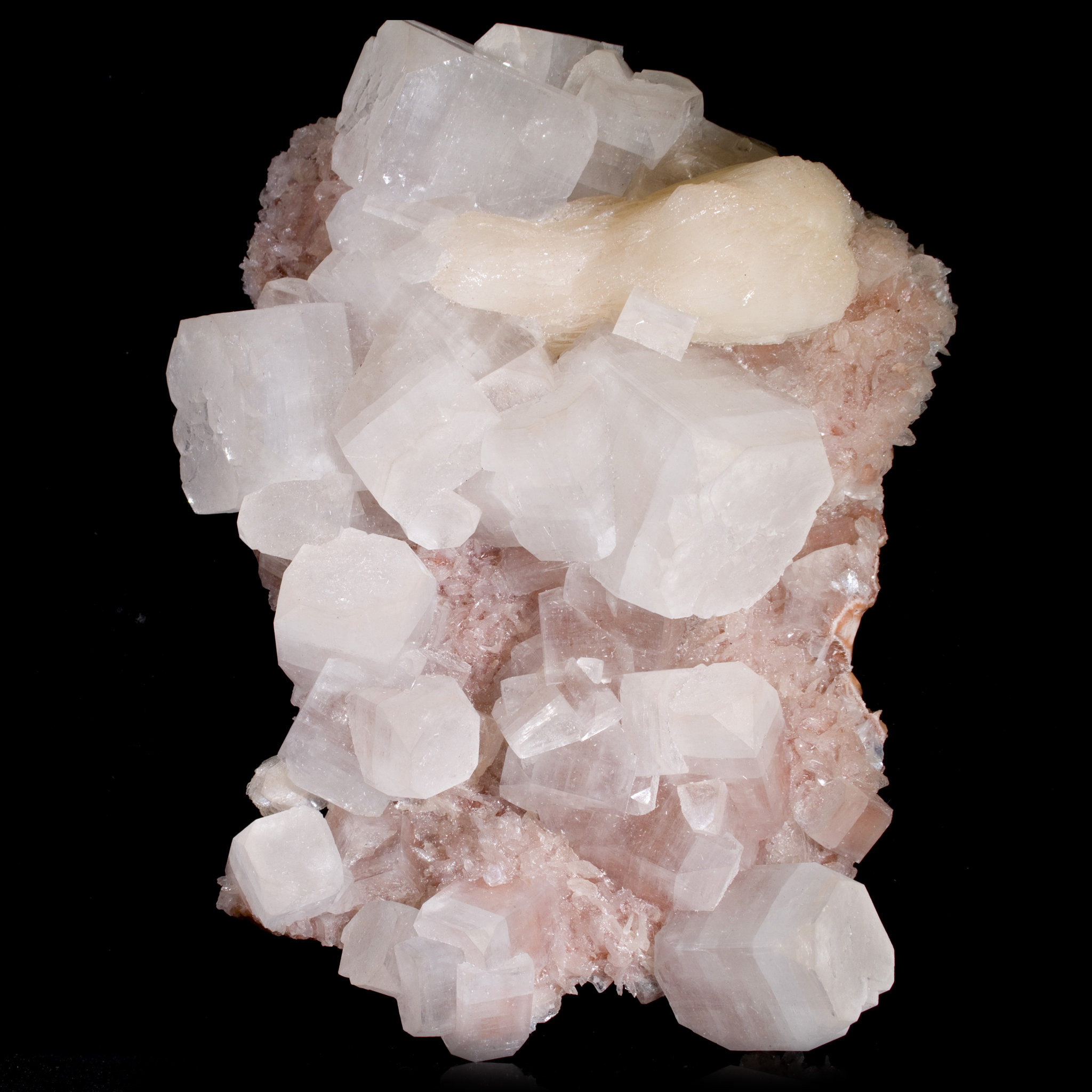 Everly Quinn Apophyllite translucide et stilbite sur calcédoine rose ...