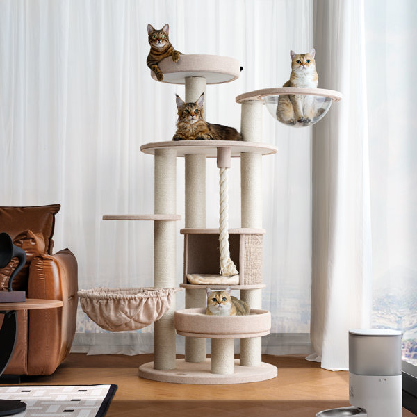 Sopapets 65 Inches Extra Large Multi Level Cat Tree For Indoor Cats ...