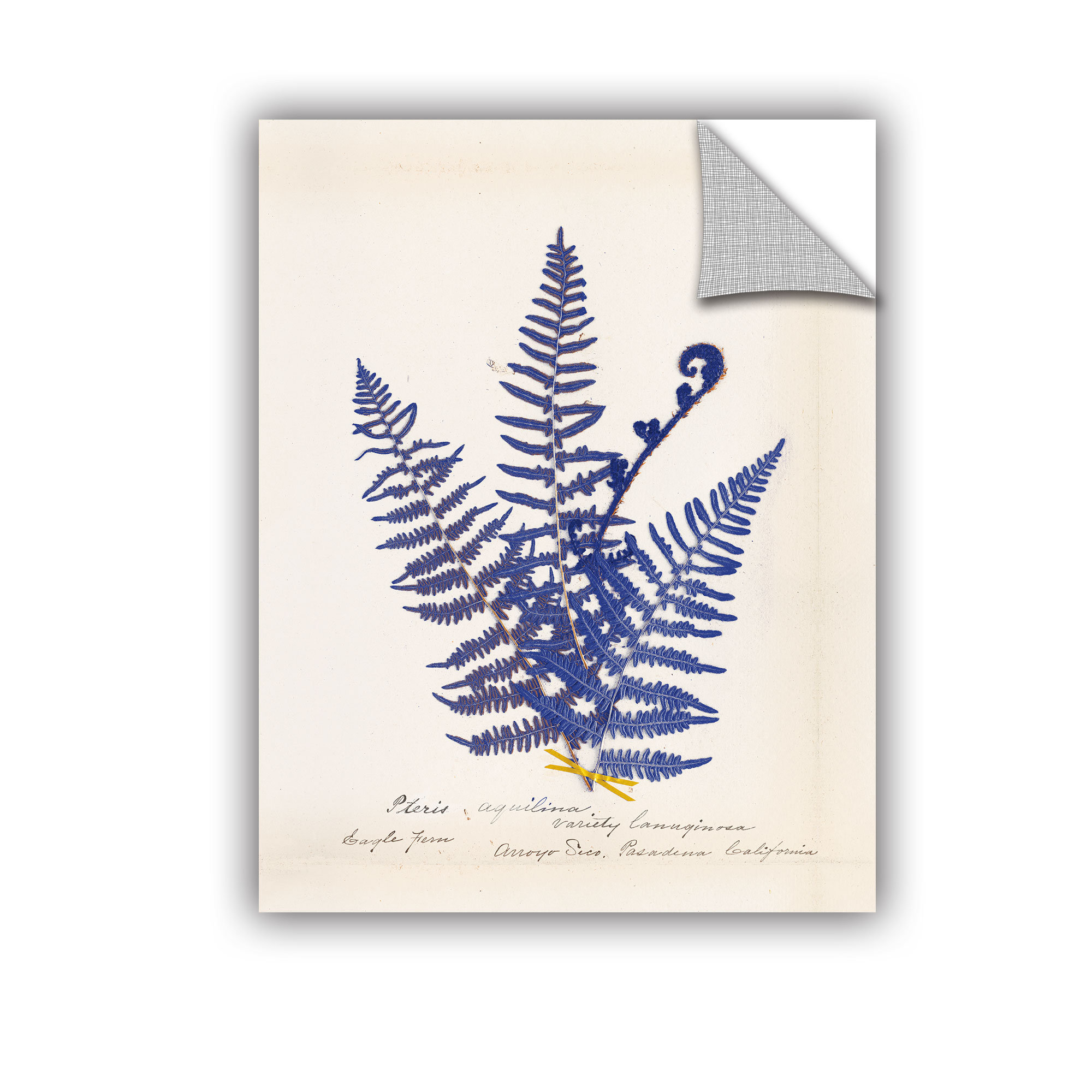 August Grove® Botanical Fern IV Blue/Beige Removable Wall Decal | Wayfair