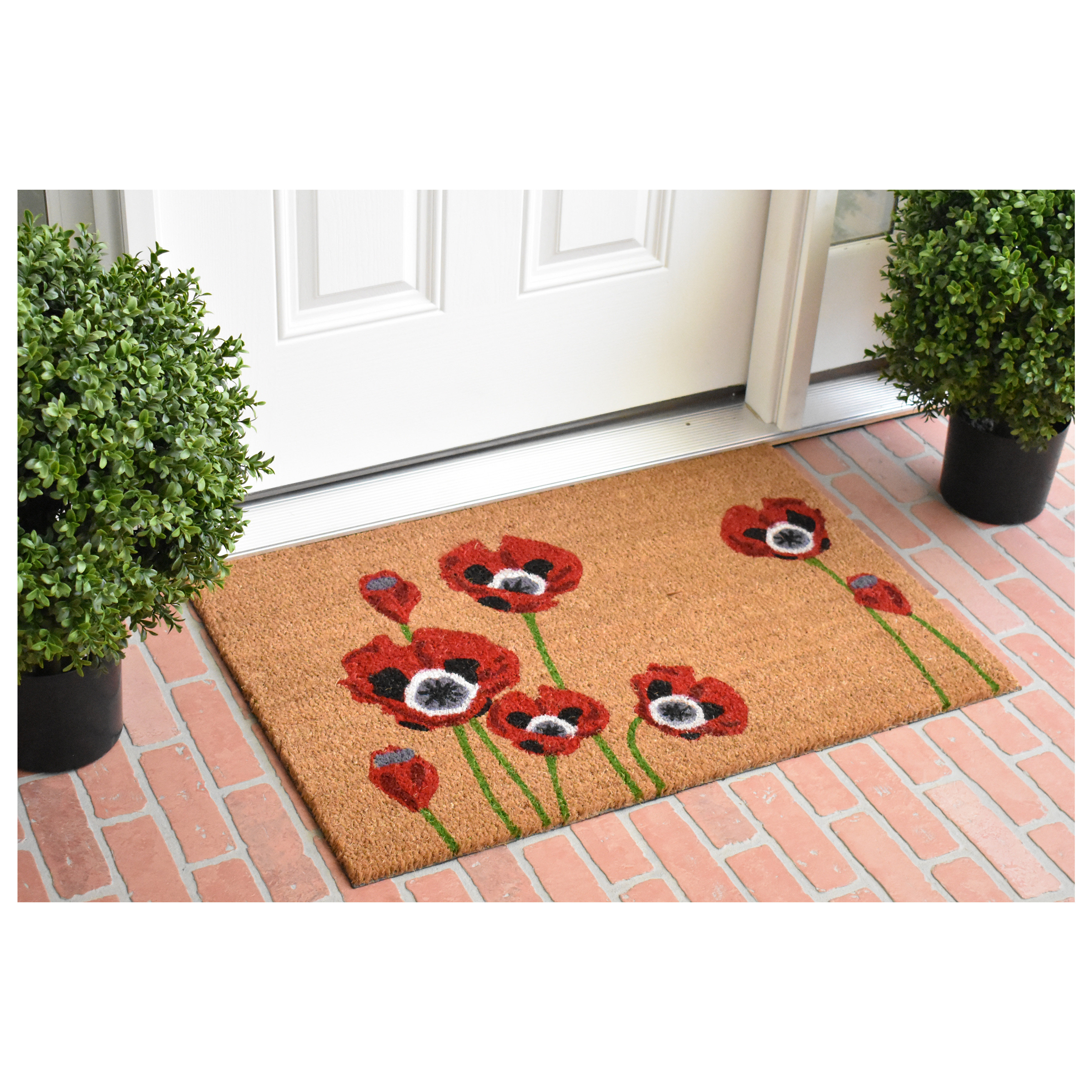 Winston Porter Dakota Poppies 36 in. x 24 in. Non-Slip Outdoor Door Mat ...