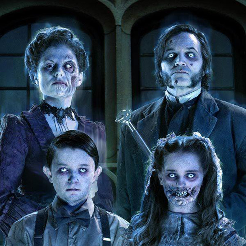 Holiscapes Atmosfx Macbre Manor DVD Halloween Digital Decoration | Wayfair