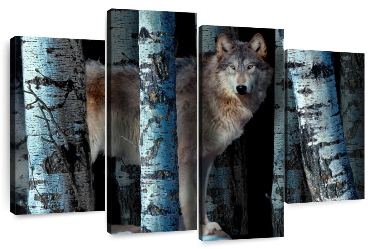 Ebern Designs Moon Shadows - Wayfair Canada
